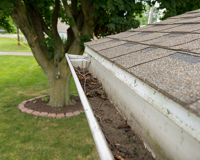 Keep Your Gutters Functioning Properly with Regular Gutter Cleaning ...